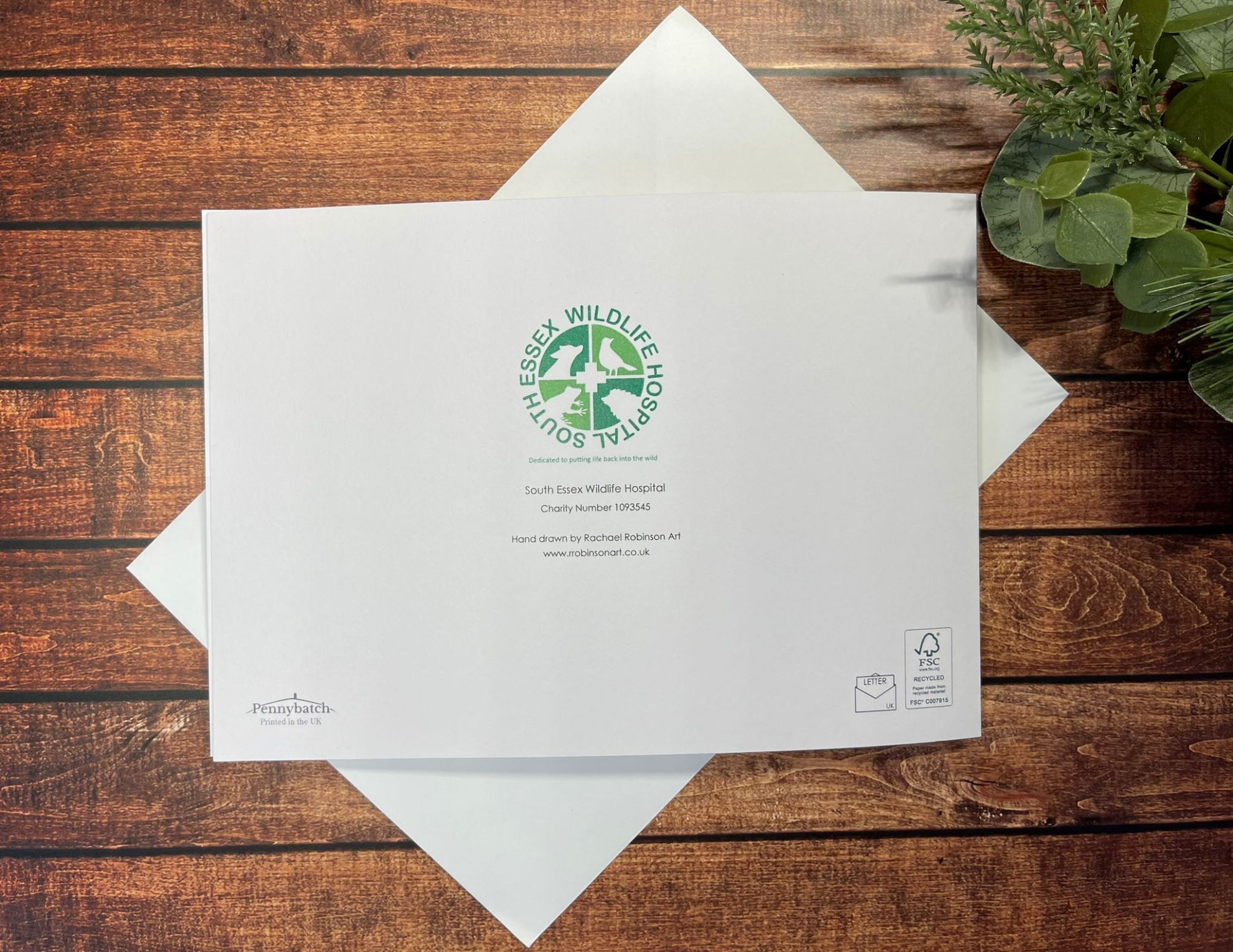 SEWH. Robin Christmas card